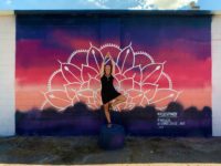 Mural Portfolio – Jamie Locke Art